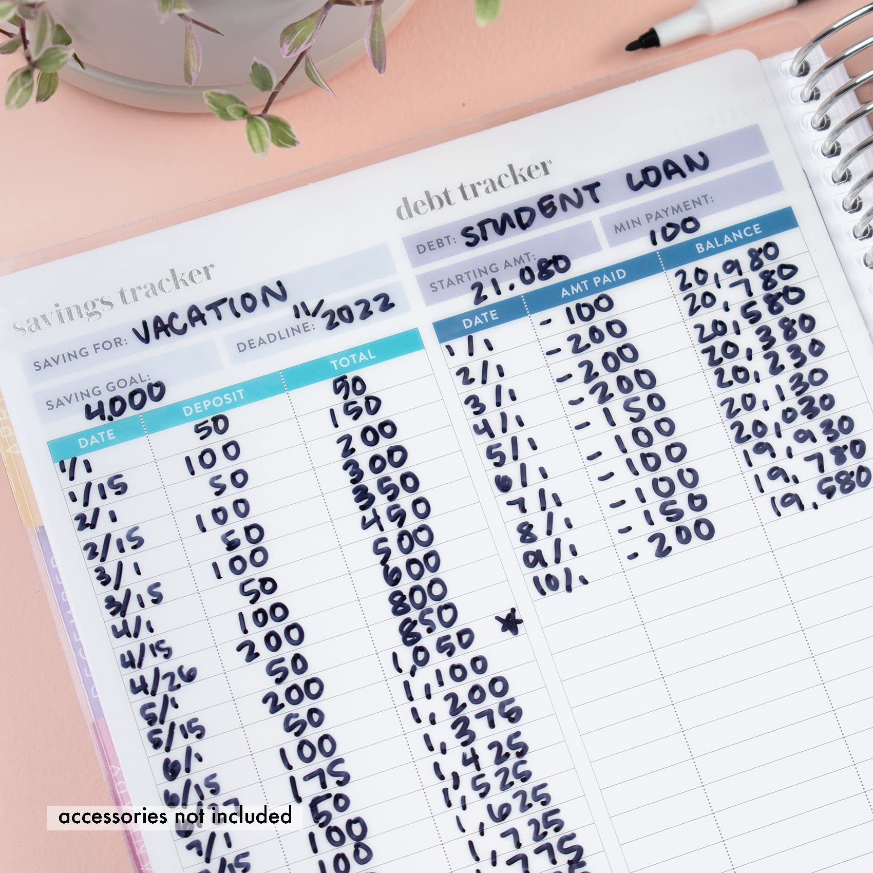 Snap-in Dashboard - Bill Tracker. Reusable Budget Dashboard for Tracking Expenses. Wet-Erase and Double-Sided. 7" x 9" or Larger Notebook Snap-in Accessory by Erin Condren.
