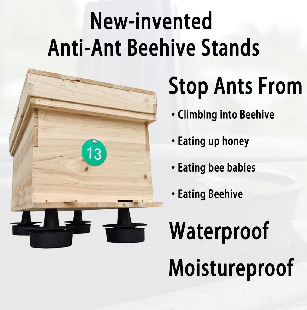 UCAREM Beehive Stands