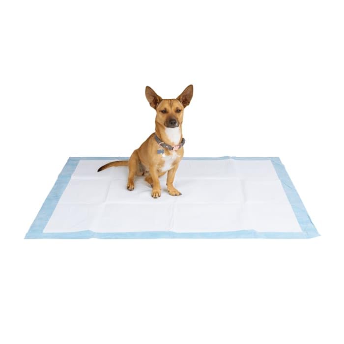 So Phresh Maximum Absorbency XX-Large Leak Shield Potty Pads, Count of 72