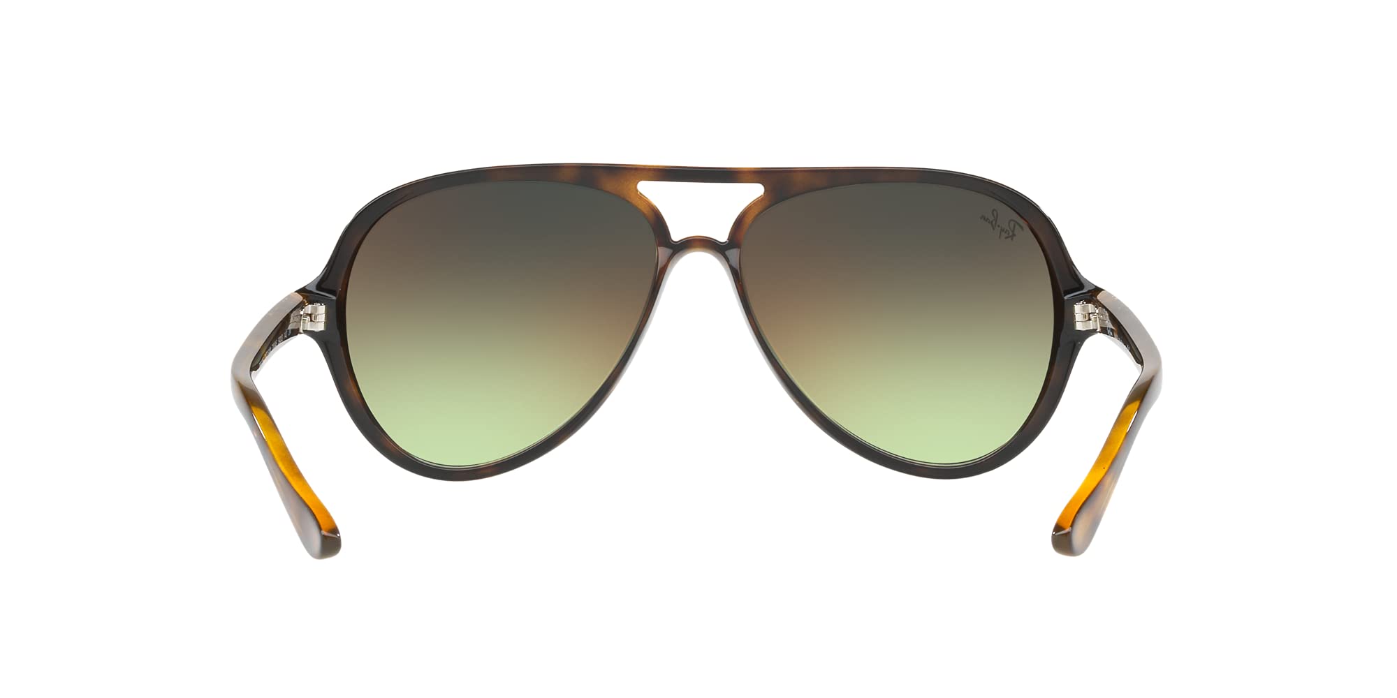Ray-Ban RB4125 Cats 5000 Sunglasses + Vision Group Accessories Bundle (Black/Clear Gradient Grey (601/32)