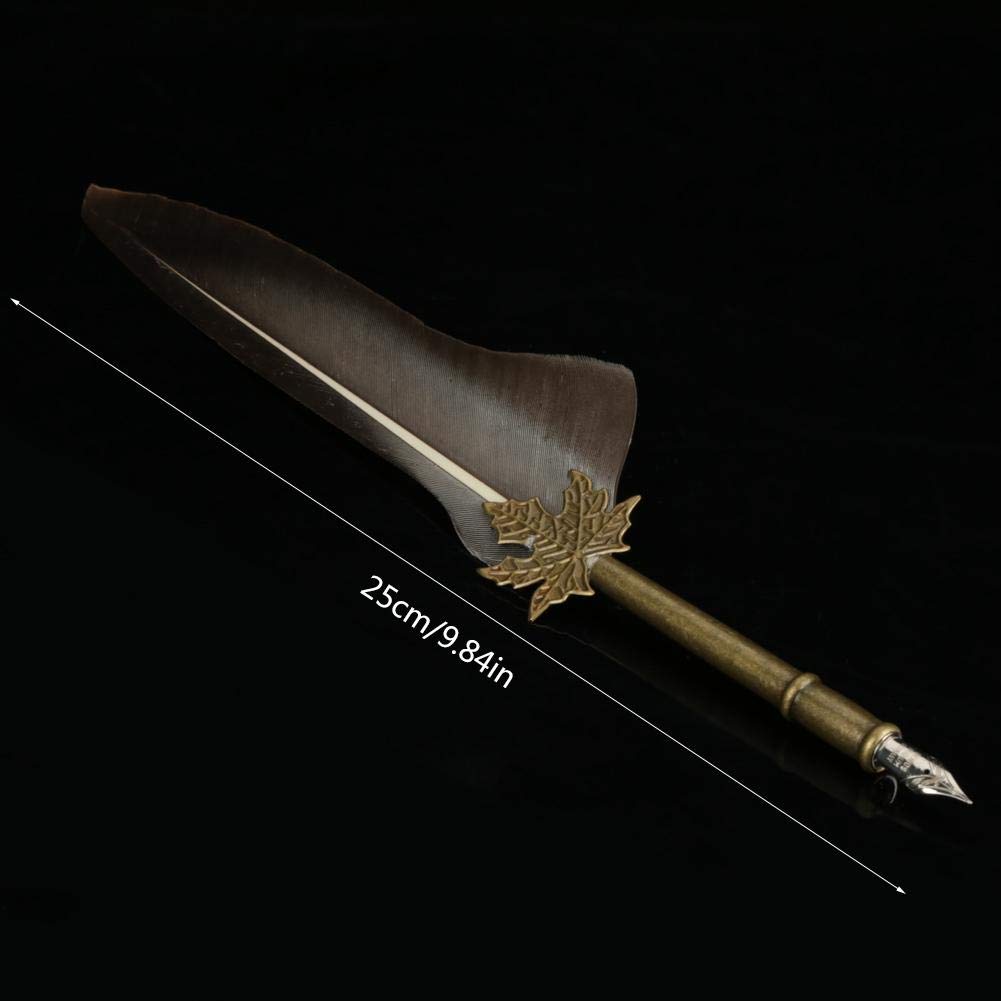 Quill Feather Pen with 5 Steel Replacement Nibs and Dip Ink Bottle in Vintage Gift Box for Antique Calligraphy (Gray)