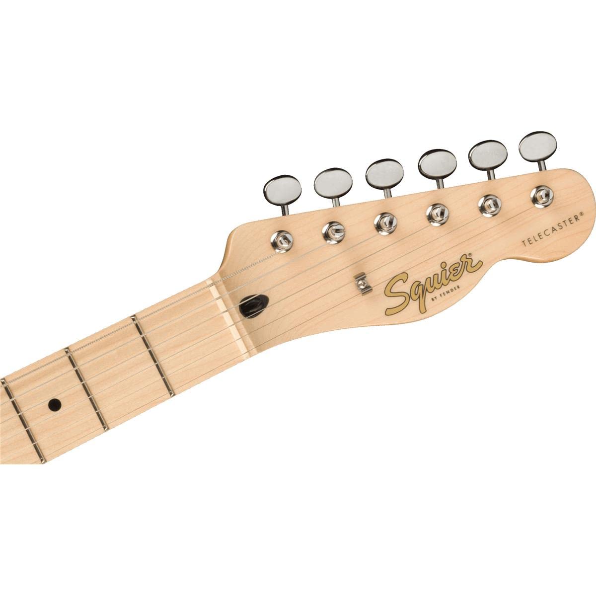 Squier Paranormal Cabronita Thinline Telecaster Electric Guitar, with 2-Year Warranty, Lake Placid Blue, Maple Fingerboard