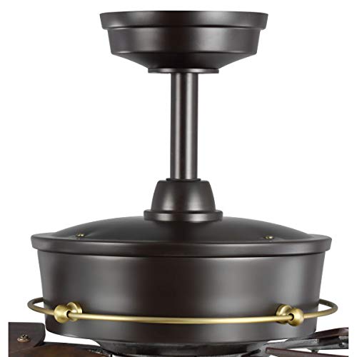 Progress Lighting Teasley Collection 56" Five-Blade Ceiling Fan with Glass Shades