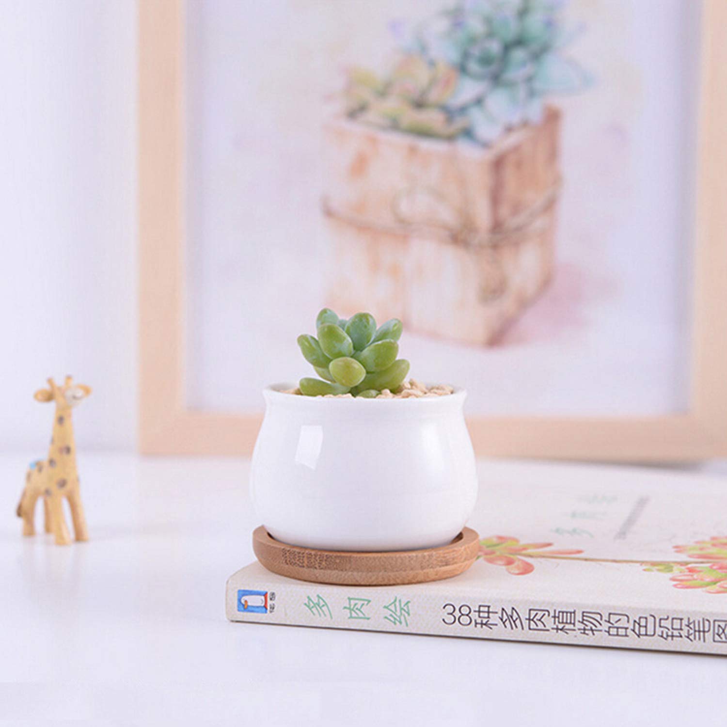 Succluent Pots ,Small Flower Pots Planter Pots with Drinage,Ceramic Flowers Pots with Bamboo Tray for Cactus(12 Pack