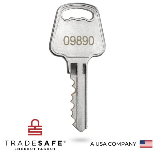 TRADESAFE Lockout Tagout Locks Set - 10 Red Loto Locks, Lockout Locks Keyed Different, 1 Key Per Lock, OSHA Compliant Lock Out Tag Out Padlocks, Safety Padlocks for Electrical Lockout Tag Out Kits