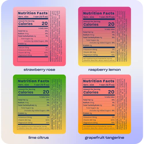 Recess Mood Magnesium Supplement Drink Calming Beverage, 12 Ounce, Pack of 12 (Variety Pack, 12 Pack)