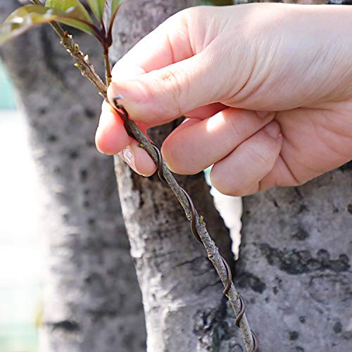 Wazakura Anodized Aluminum Bonsai Wire Kit 2 Sizes (1.5mm + 2.0mm) Made in Japan, 2 Roll Bonsai Training Wire Starter Set - 1.5mm & 2.0mm, Brown