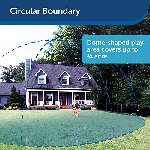 PETSAFE Stay and Play Wireless Dog Fence Kit