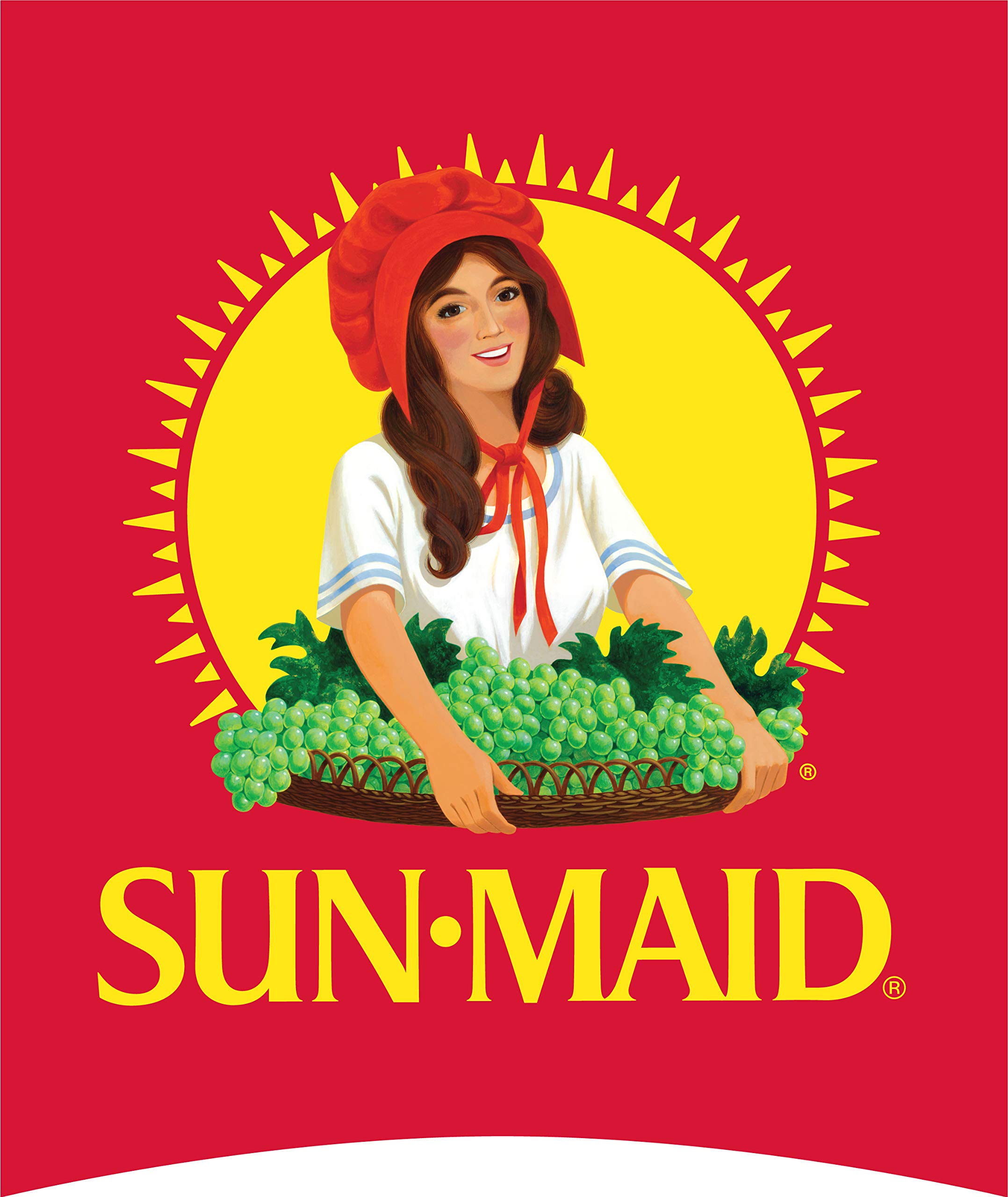 Sun-Maid California Sun-Dried Raisins - 13 oz Resealable Canister - Dried Fruit Snack for Lunches, Snacks, and Natural Sweeteners