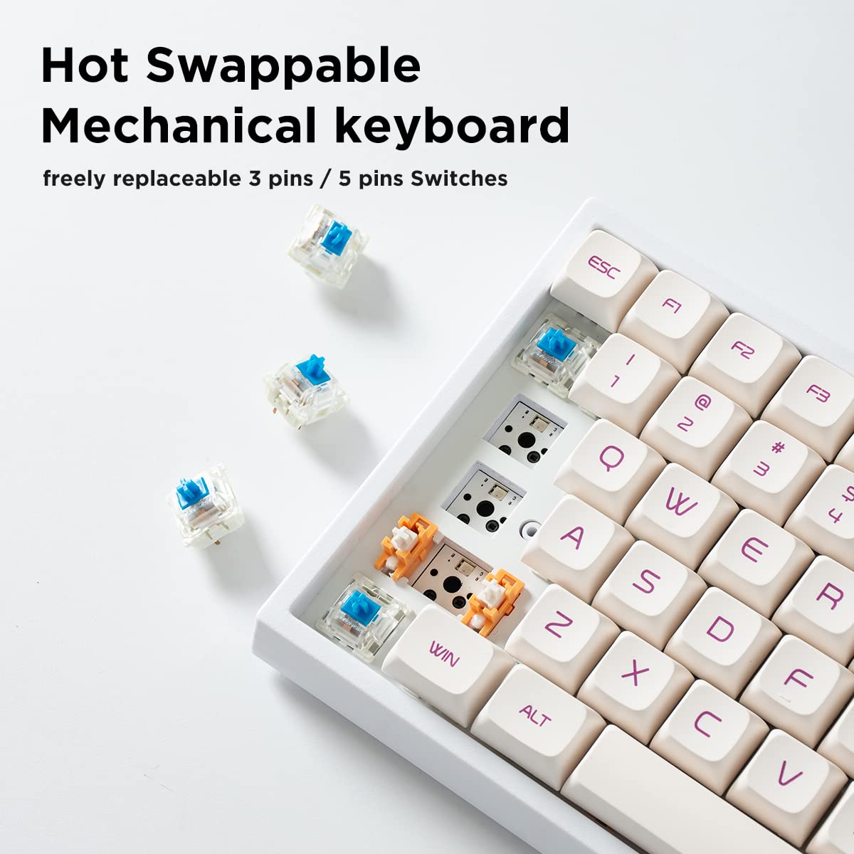 YUNZII YZ84 Wireless Hot Swappable Mechanical Keyboard, 2.4G/USB-C/Bluetooth 84-Key Gaming Keyboard with RGB Backlit, for Mac/Win/Gamers (Gateron Yellow Switch, Lavender)