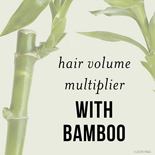 Pantene Nutrient Blends Hair Volume Multiplier with Bamboo Shampoo and Conditioner Dual Pack For Fine Hair