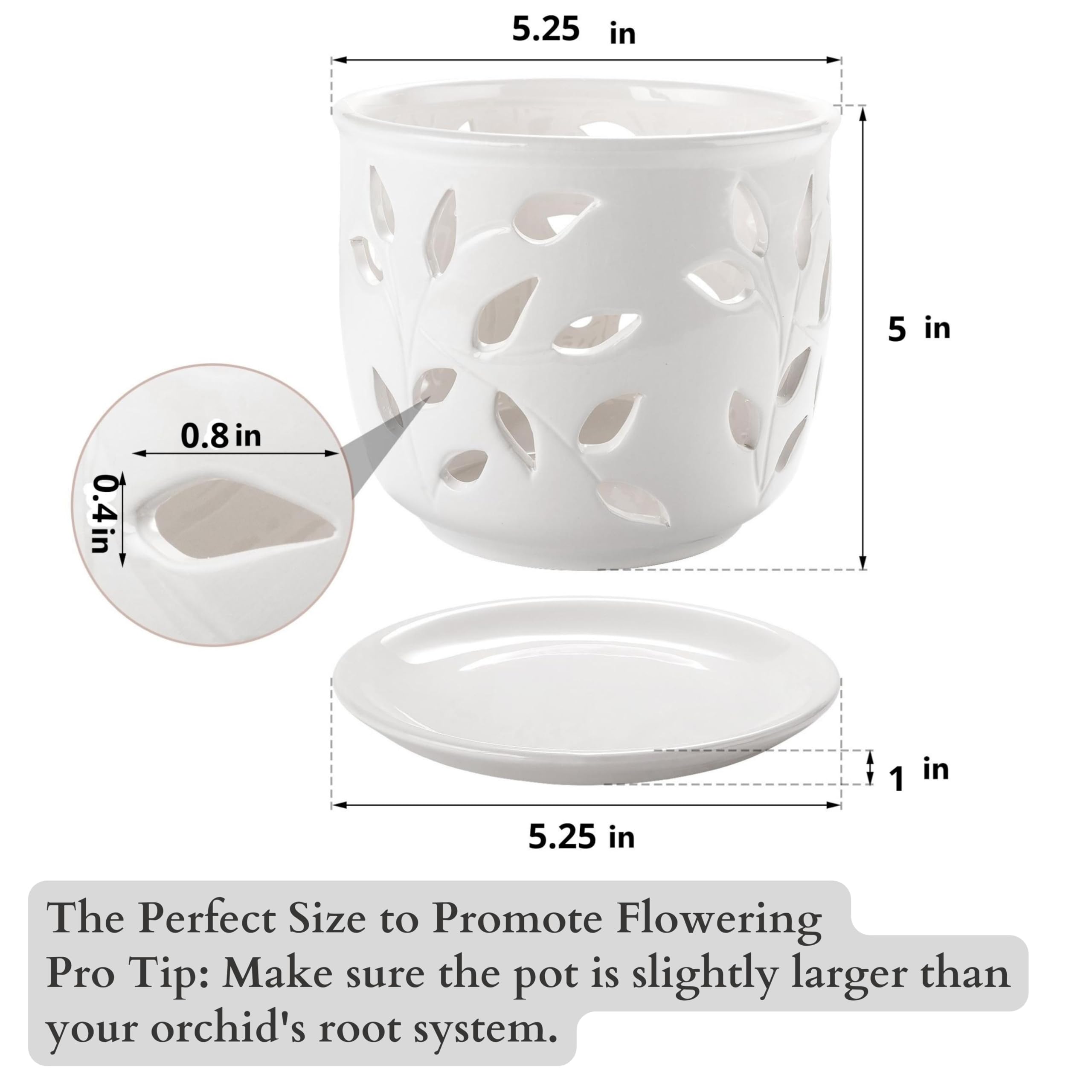 VEBAVO Large Ceramic Orchid Pot with Holes & Saucer 5.25 in. Indoor or Outdoor Pot for Orchid Care & Root Health with Precise Aeration & Drainage β Durable for Repotting or New Plants