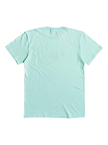 Quiksilver Men's Comp Logo Short Sleeve Tee Shirt, Beach Glass, XXL