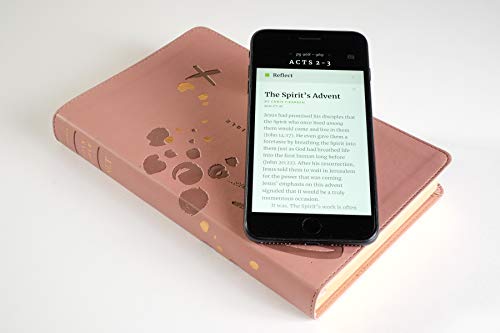 NLT Thinline Reference Holy Bible (Red Letter, LeatherLike, Brushed Pink): Includes Free Access to the Filament Bible App Delivering Study Notes, Devotionals, Worship Music, and Video