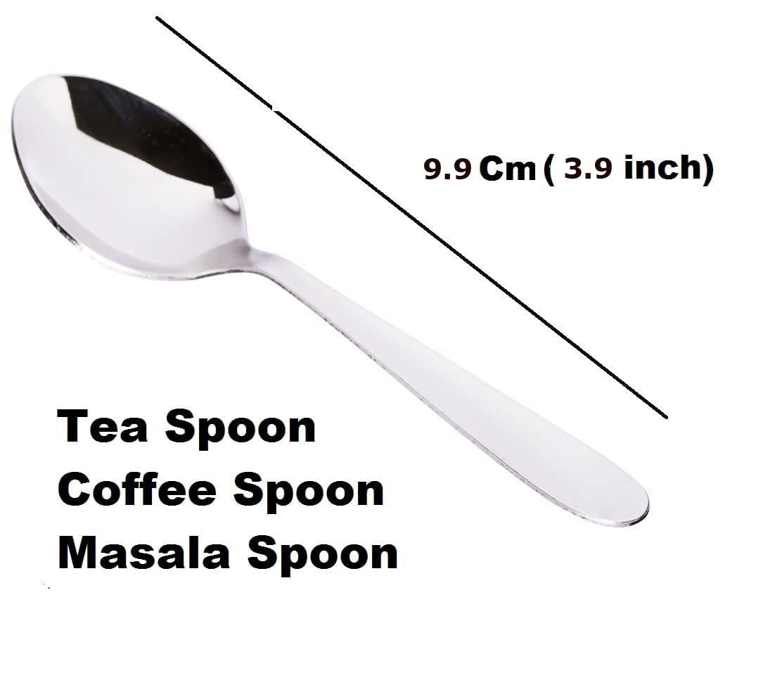 SLNDOKTG Stainless Steel Spice Box Spoons Set of 12 (Silver)