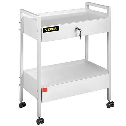 VEVOR Lab Cart, 2 Tiers Stainless Steel Utility Cart Medical Cart 2 Drawers Rolling Lab Cart White Paint Serving Cart with 360° Casters for Laboratory Hospital Dental Office Salon Beauty