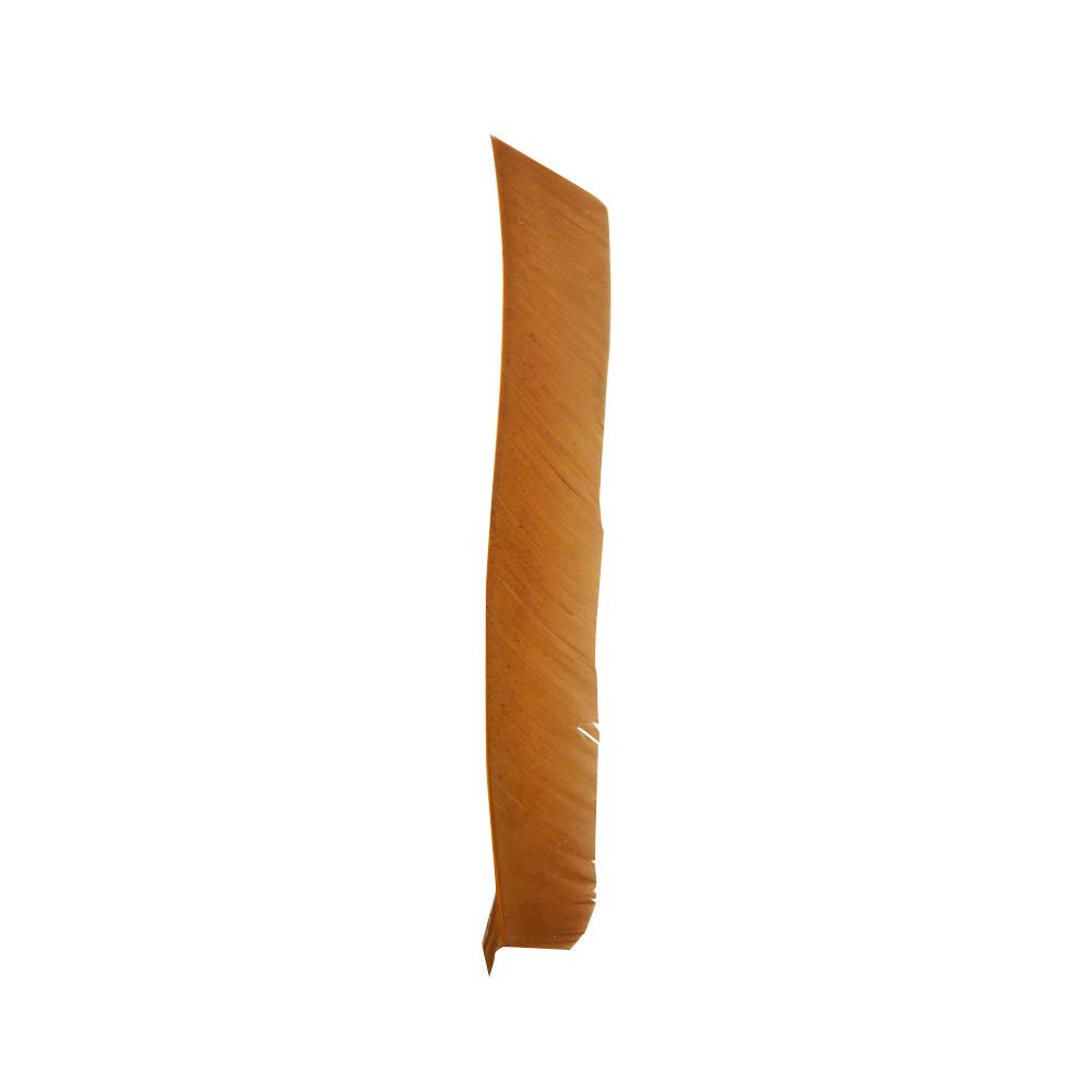 SHARROW 50pcs Archery Arrow Turkey Feathers Arrow Fletches Fletching Natural Feather Left Wing for Hunting Shooting Accessory (Brown)