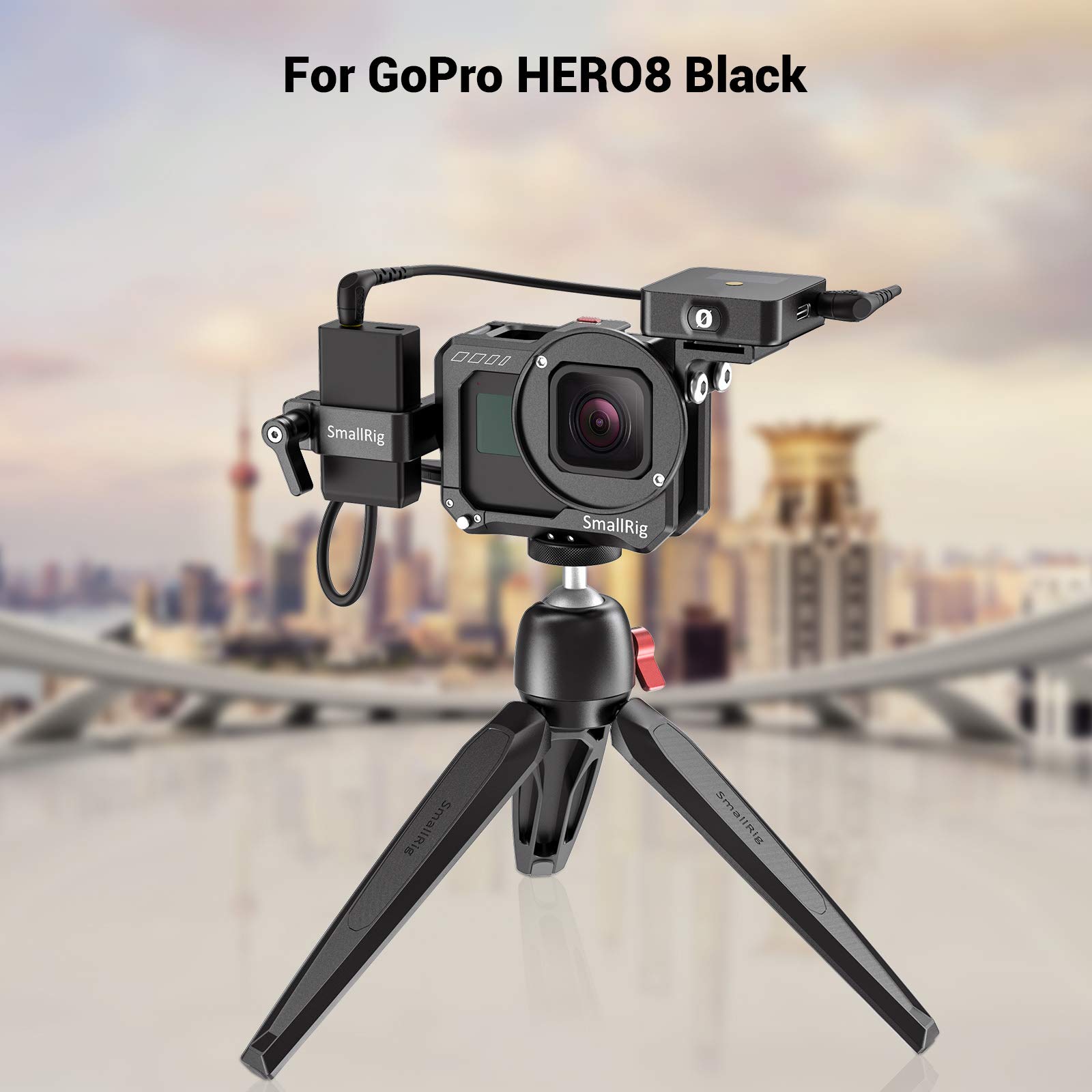 SmallRig HERO8 Vlogging Cage, Aluminum Video Cage with 52mm Filter Mount and 2 Cold Shoe Mount for Mic and Led Light for GoPro HERO8 Black CVG2505