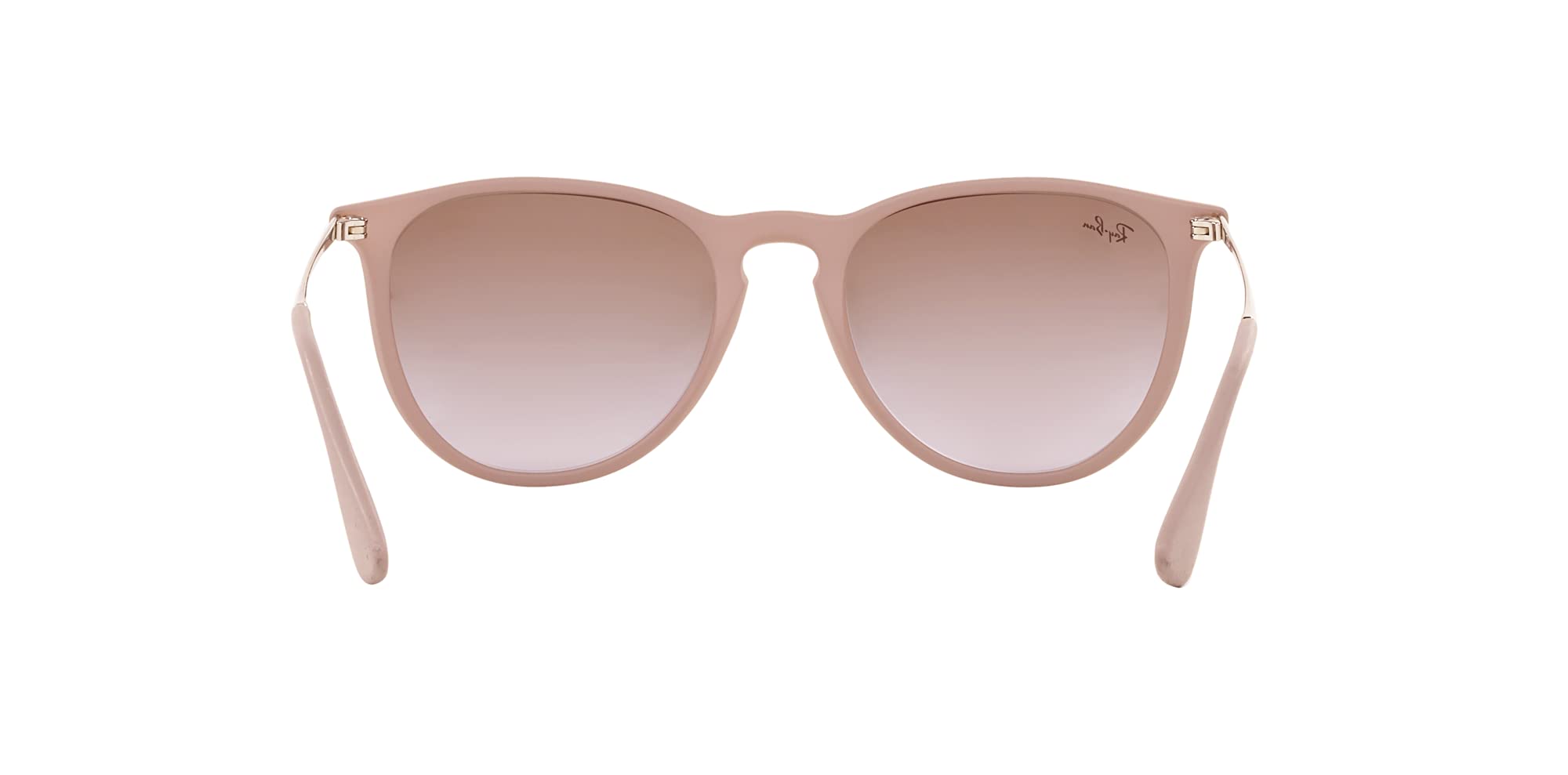 Ray-Ban RB4171 Erika Sunglasses + Vision Group Accessories Bundle (Dark Rubber Sand/Violet Gradient Brown (600068) womens