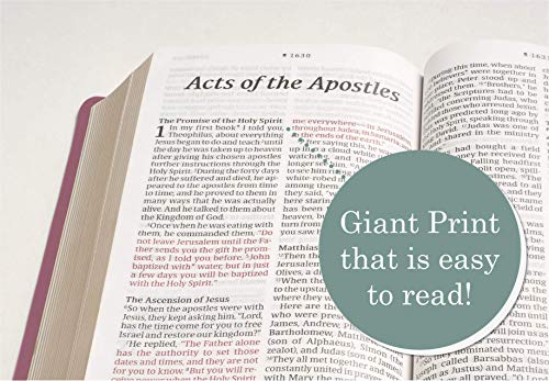 NLT Personal Size Giant Print Bible, Filament-Enabled Edition (LeatherLike, Peony Pink, Red Letter): Includes Free Access to the Filament Bible App ... Notes, Devotionals, Worship Music, and Video