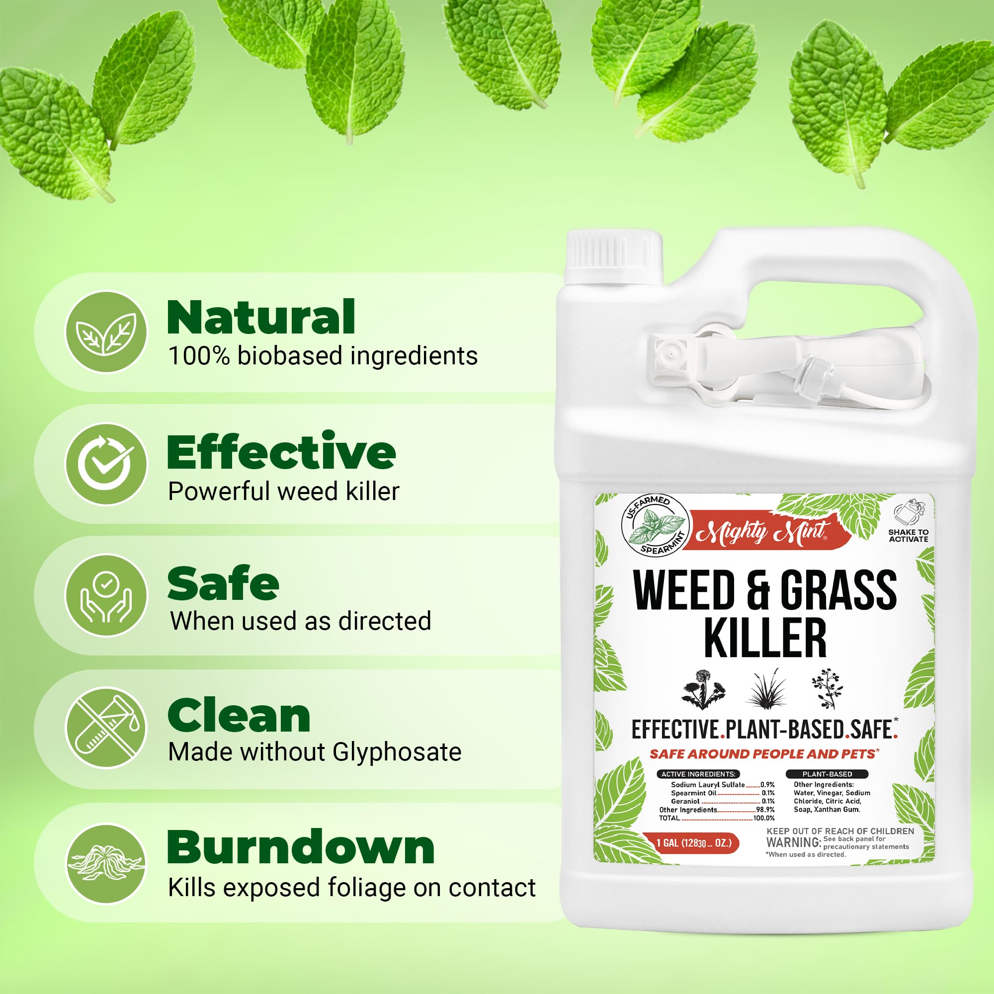 Weed & Grass Killer β Natural Vinegar & Salt Weed Killer β 1 Gallon - Glyphosate Free