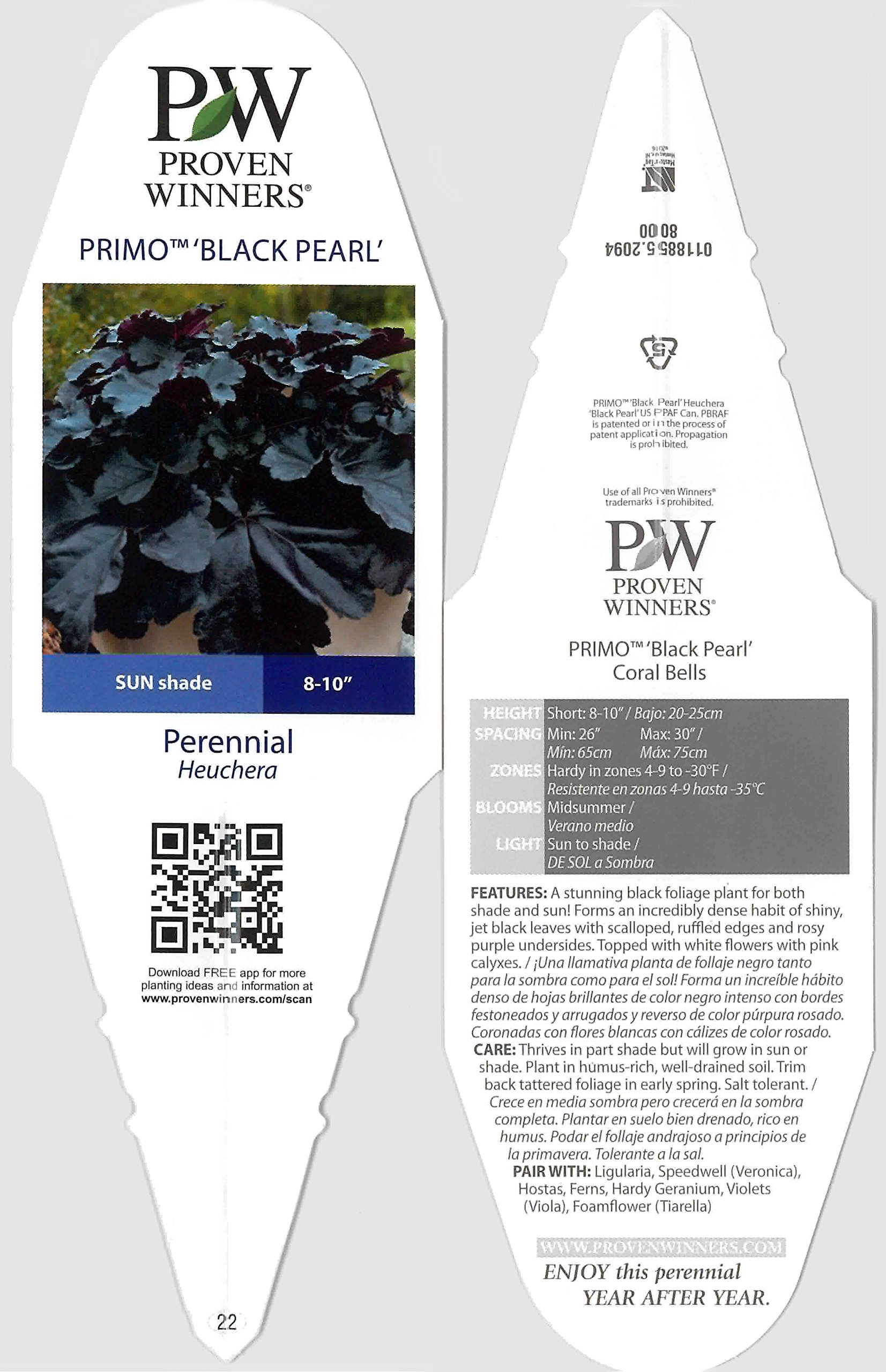 Proven Winners HEUPWP2536103 Peachberry Ice Live Plant, 0.65 Gallon