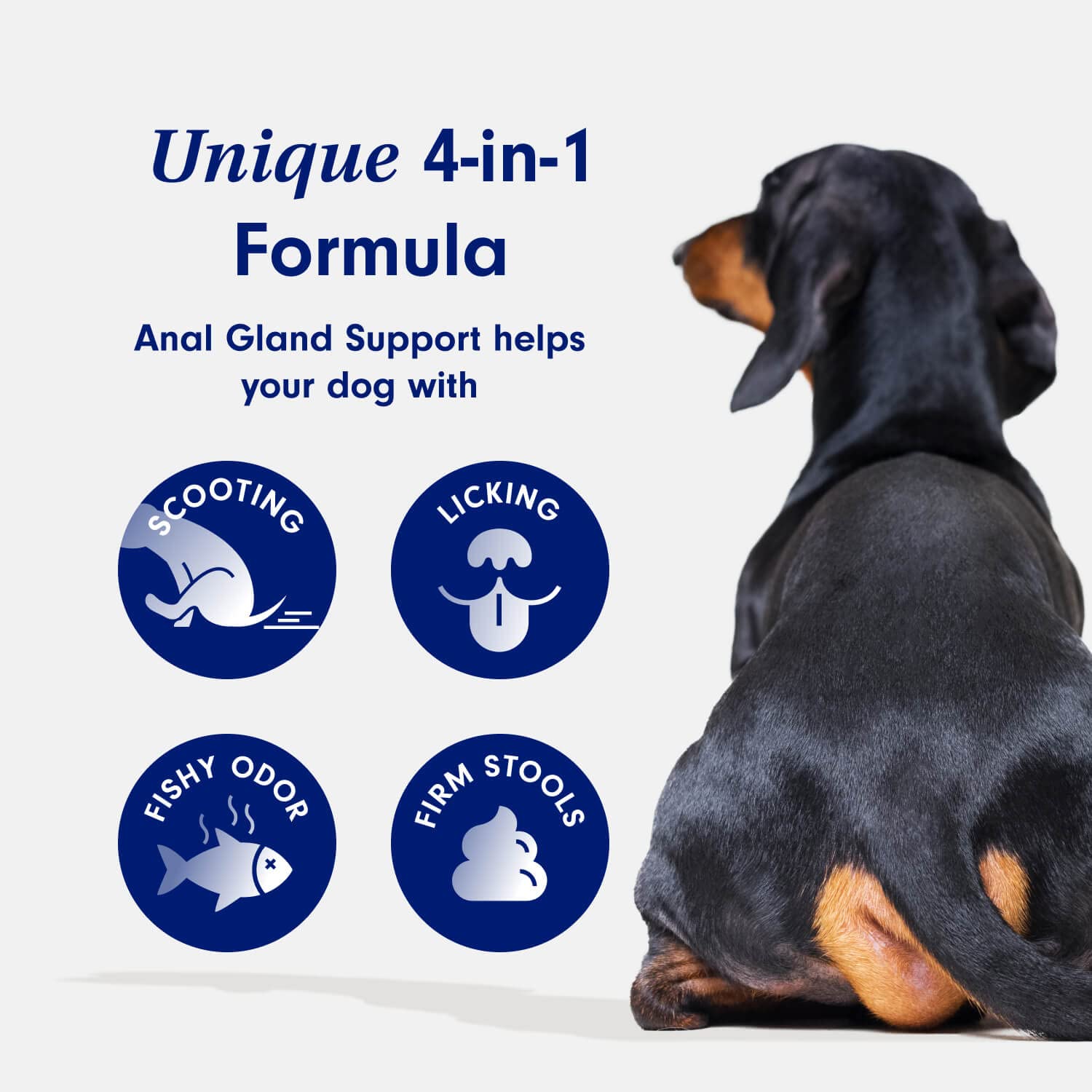 Petlab Co. Anal Gland Support β Target Scooting & Fishy Odor - Supports Anal Gland Health While Helping to Optimize Stool Consistency - Easy to Use Powder