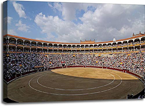Plaza Del Toros De Las Ventas, Madrid Gallery Wrapped Canvas Art (30in. x 40in.)