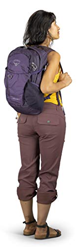 Osprey Packs Daylite Plus Daypack