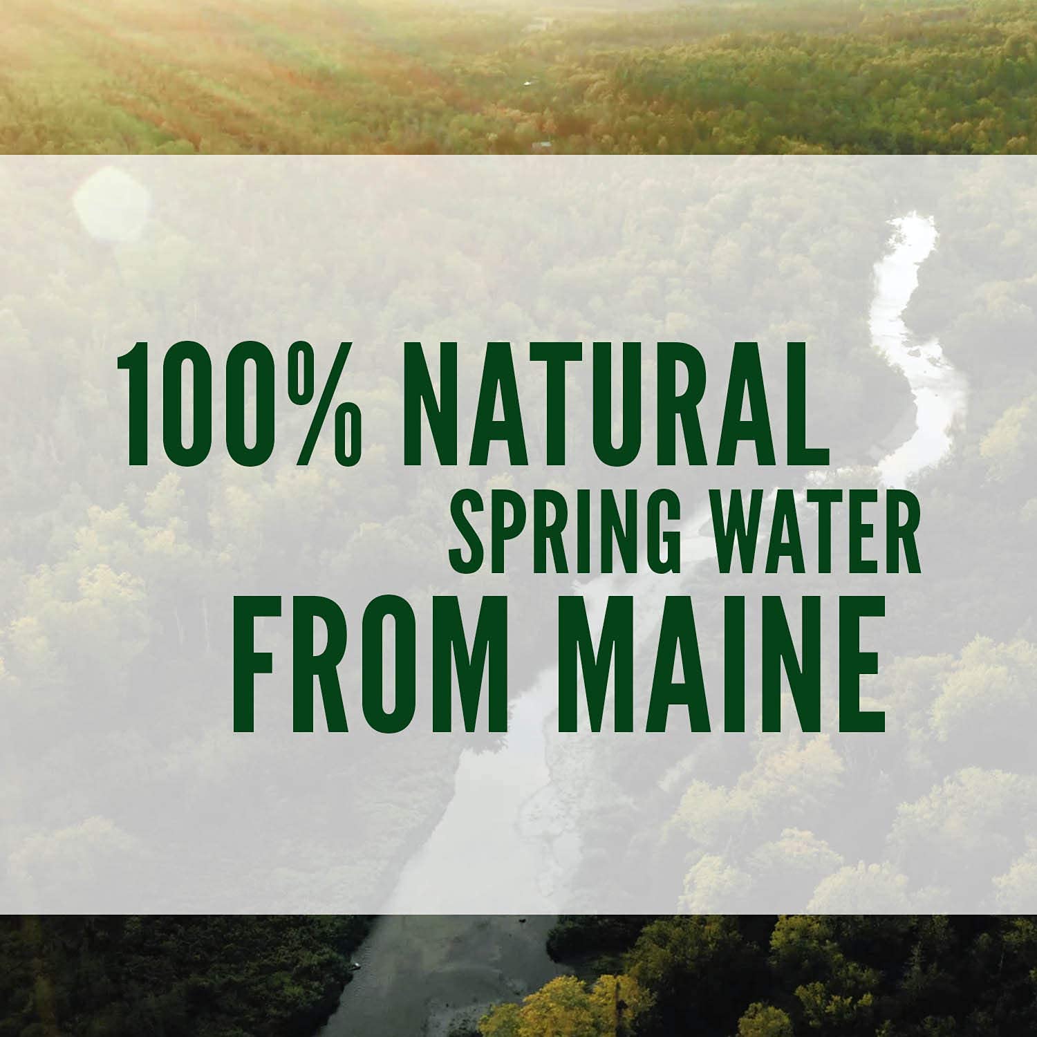 Poland Spring 100% Natural Spring Water, 16.9oz Bottle (Pack of 8) Total of 135.2 Fl Oz