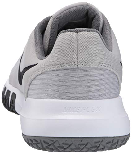 Nike Men's Flex Control TR4 Cross Trainer, Light Smoke Grey/Blacksmoke Grey-Dark Smoke Greywhite, 10 Regular US