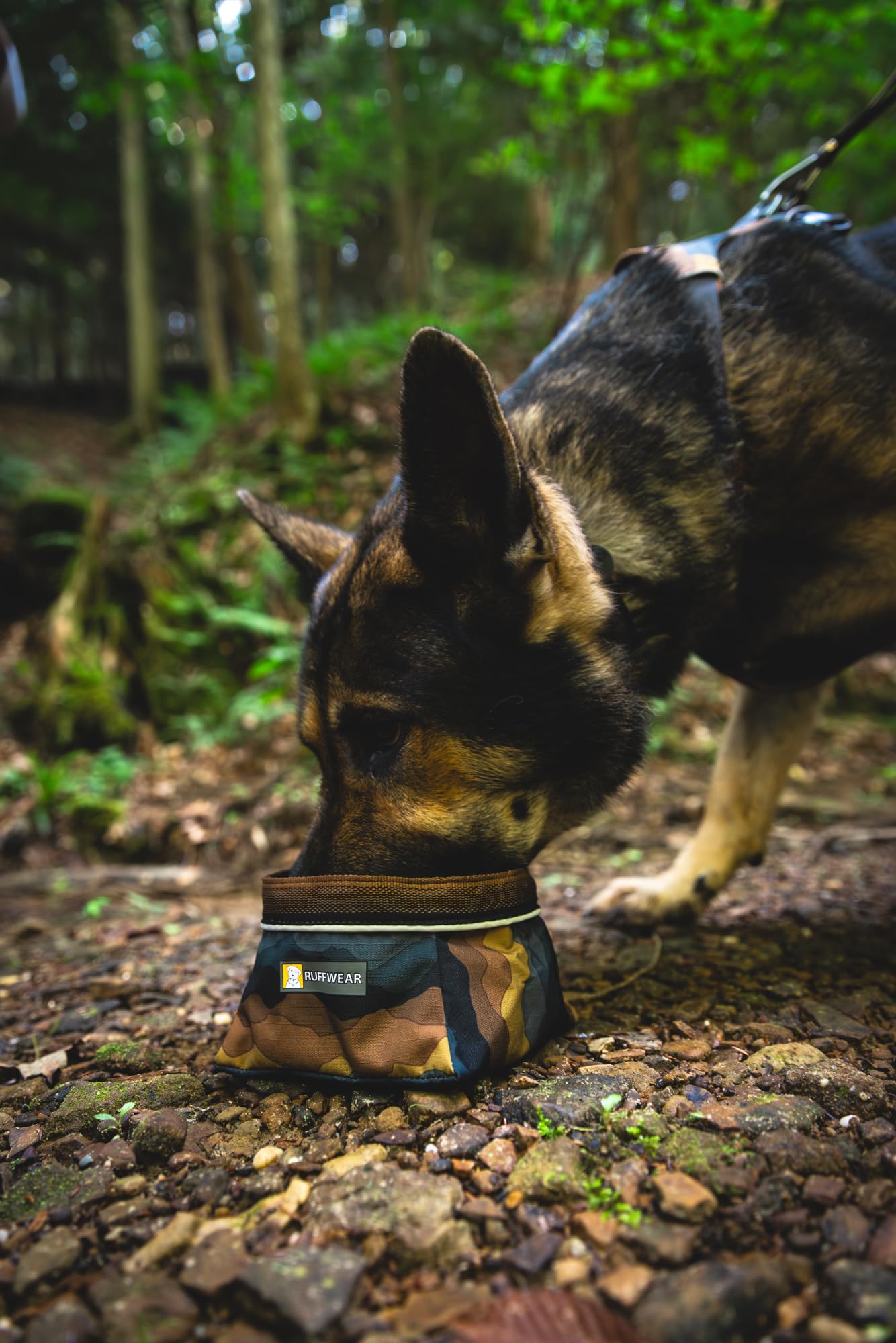 Ruffwear, Quencher Dog Bowl, Collapsible, Portable Food and Water Bowl, Huckleberry Blue, Large