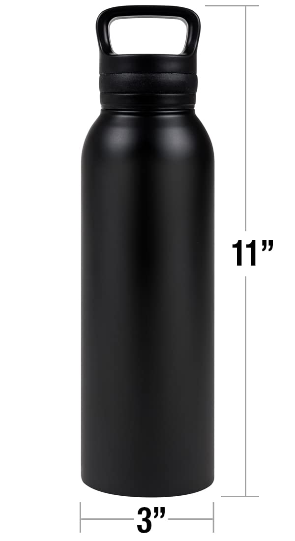Space Jam 2 OFFICIAL Tune Squad Group 24 oz Insulated Canteen Water Bottle, Leak Resistant, Vacuum Insulated Stainless Steel with Loop Cap