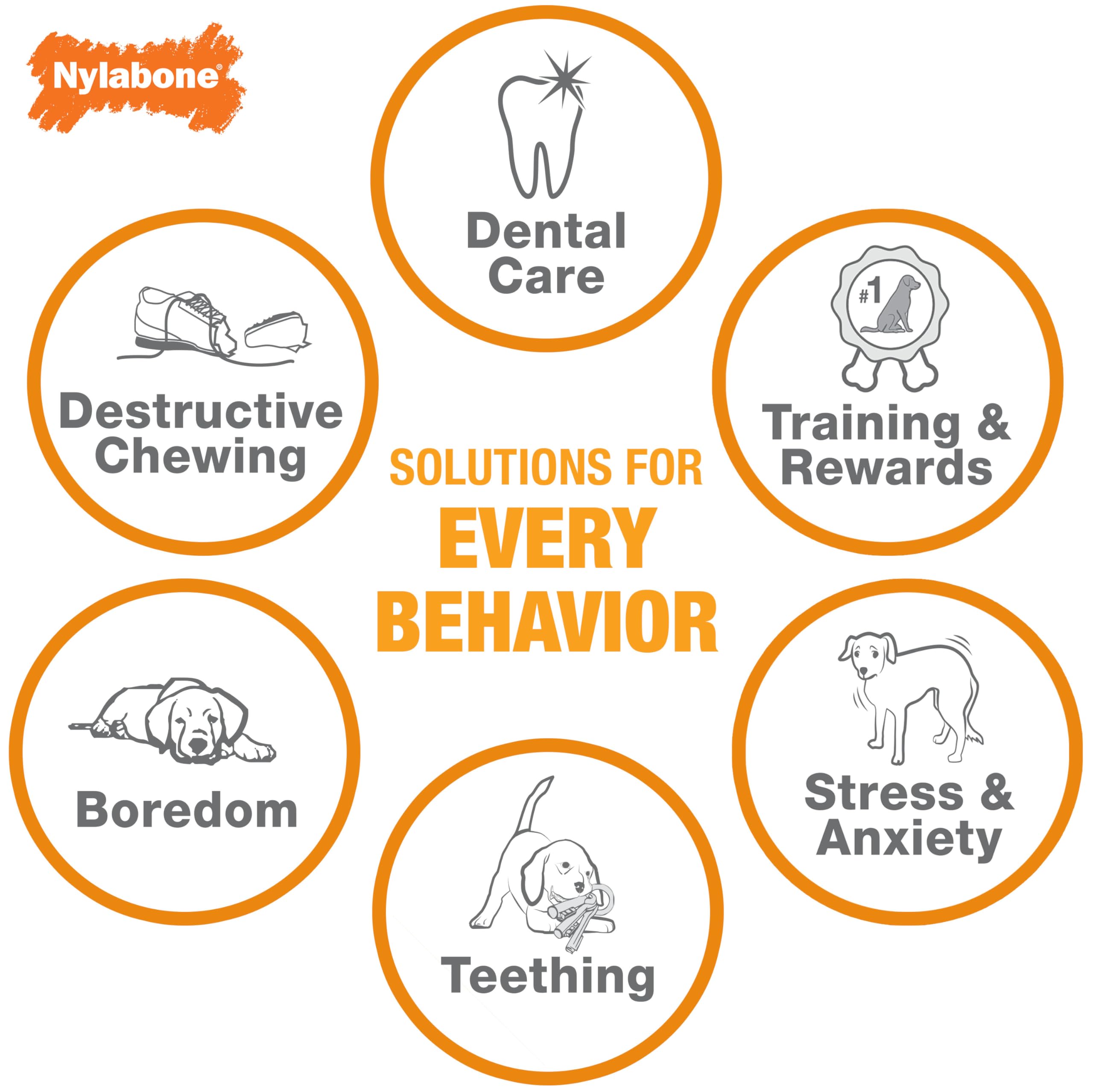 Nylabone Chew & Treat Toy for Dogs - Interactive Dog Enrichment Chew & Treat Toys