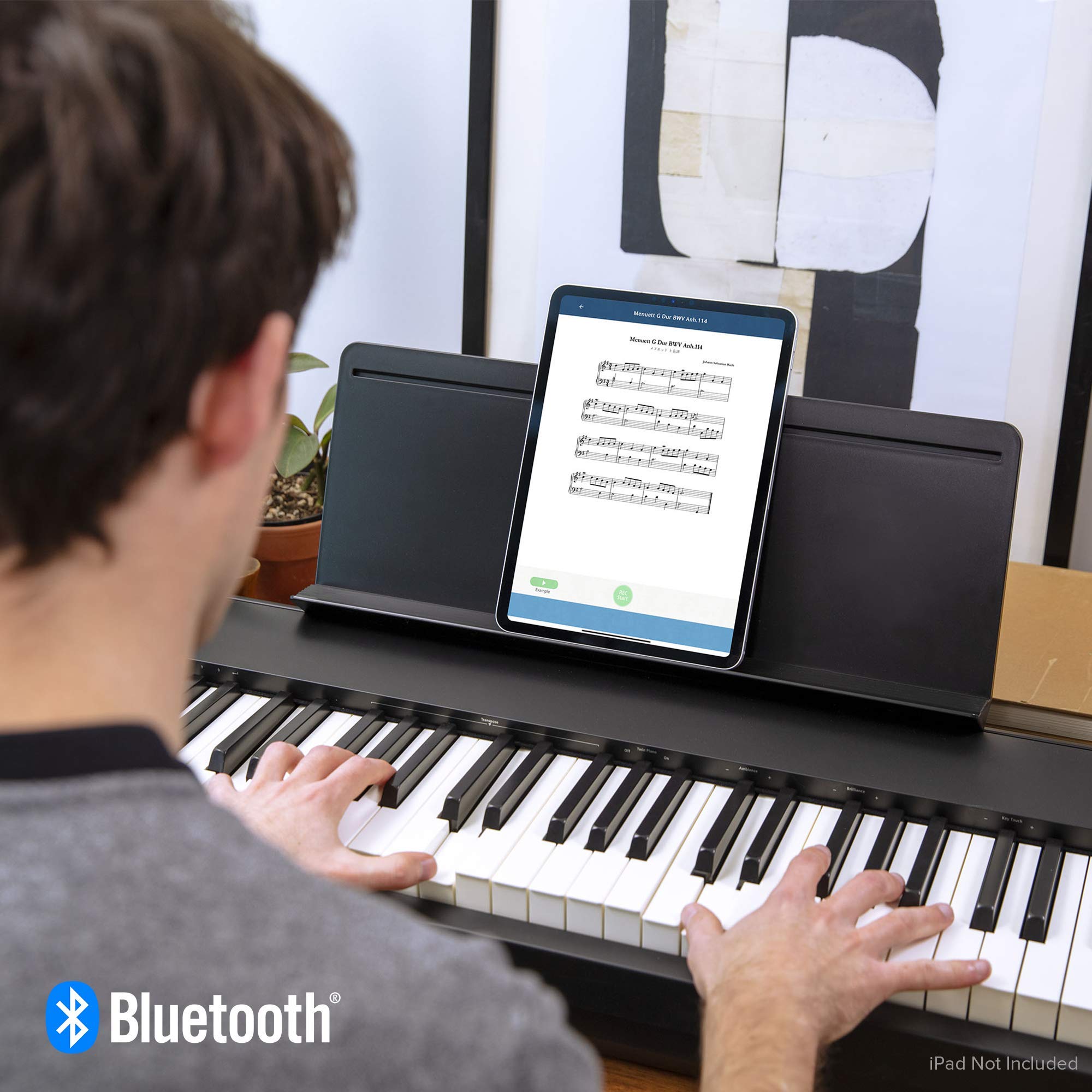 Roland FP-30X Digital Piano with Built-in Powerful Amplifier and Stereo Speakers. Rich Tone and Authentic Ivory 88-Note PHA-4 Keyboard for unrivalled Acoustic Feel and Sound. (FP-30X-BK), Black (Renewed)