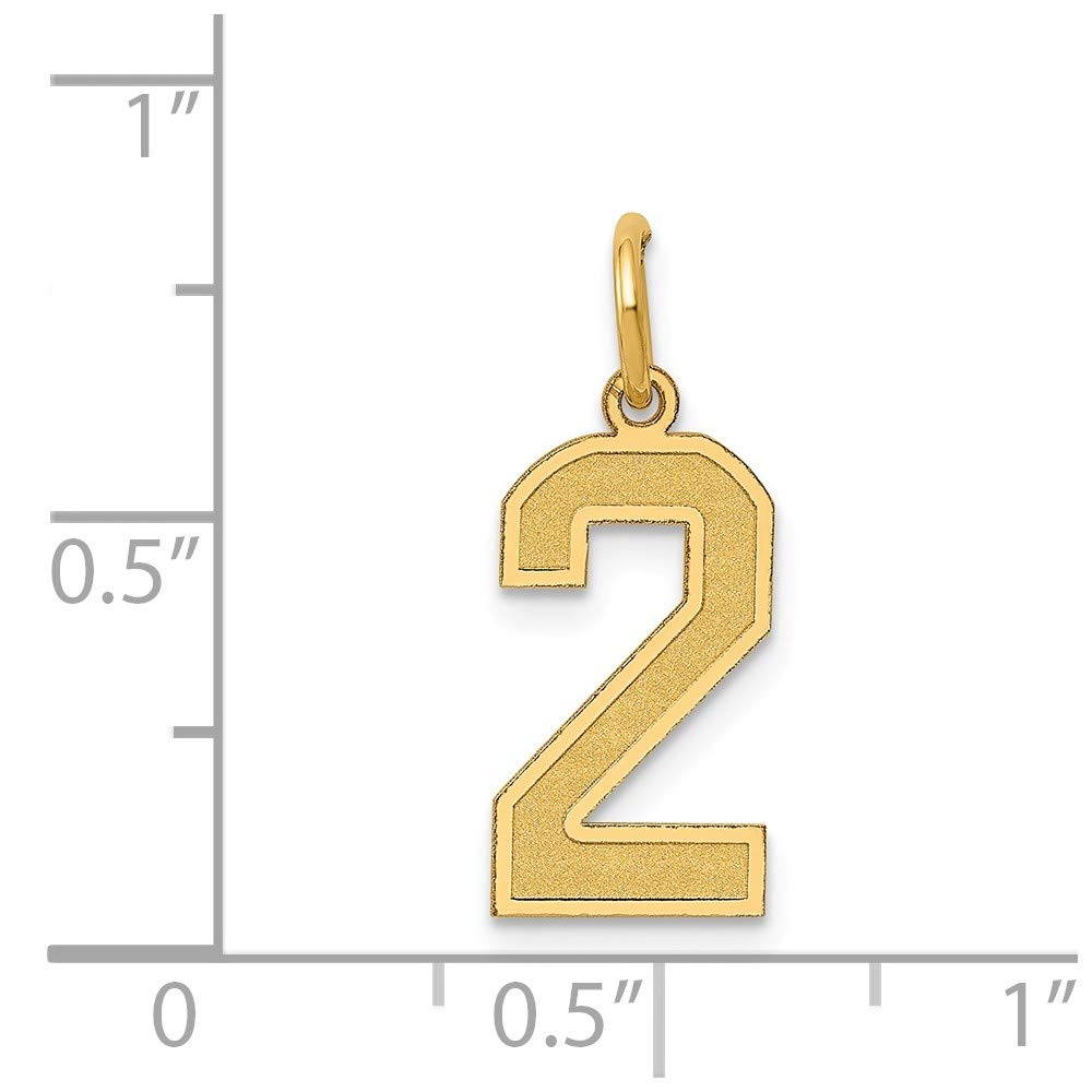 Solid 14k Yellow Gold Medium Number 2 Charm Brushed Matte Finish Pendant - 20mm x 8mm
