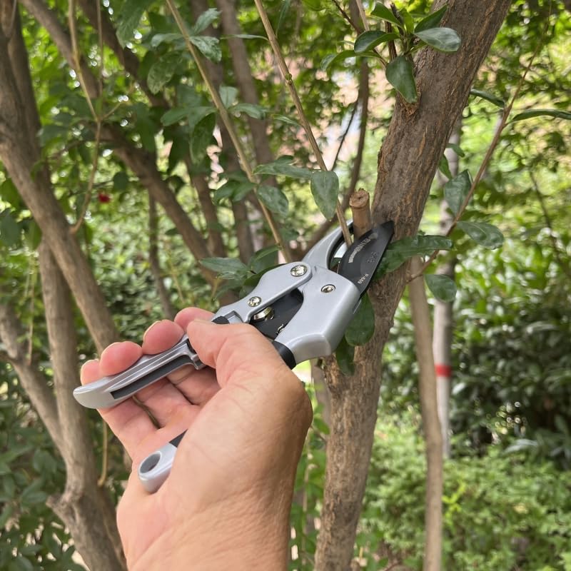 Pruning Shears, Pruning Shears for Gardening, Professional Garden Shears Clippers/Pruning Scissors Labor-Saving with Coated Stainless Steel Blades & Non-slip Handle