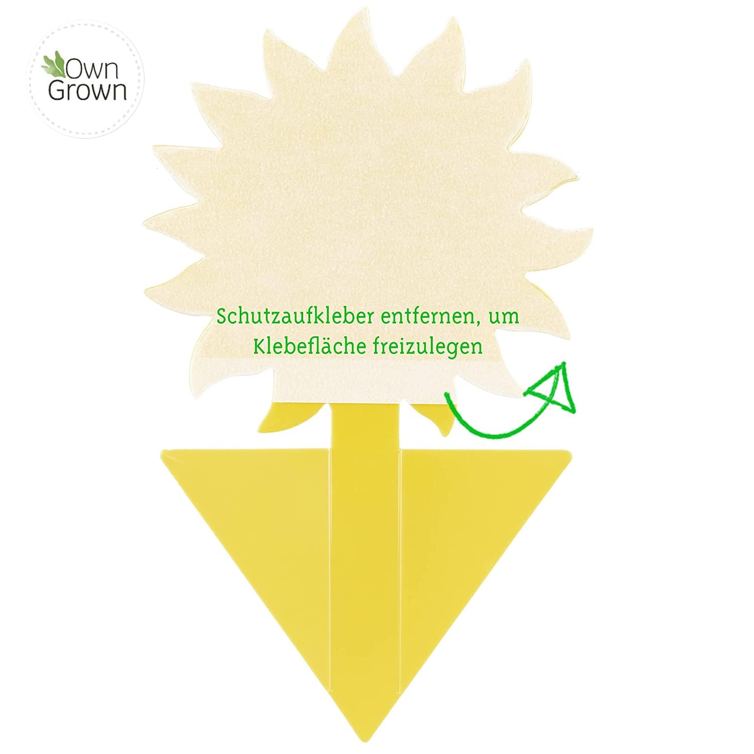 Yellow Sticky Traps for Gnats: 60x Sticky Fly Traps for Indoors โ Gnat Traps for House Indoor Plants โ Fruit Fly Trap OwnGrown