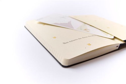 Moleskine Le Petit Prince Ruled Large