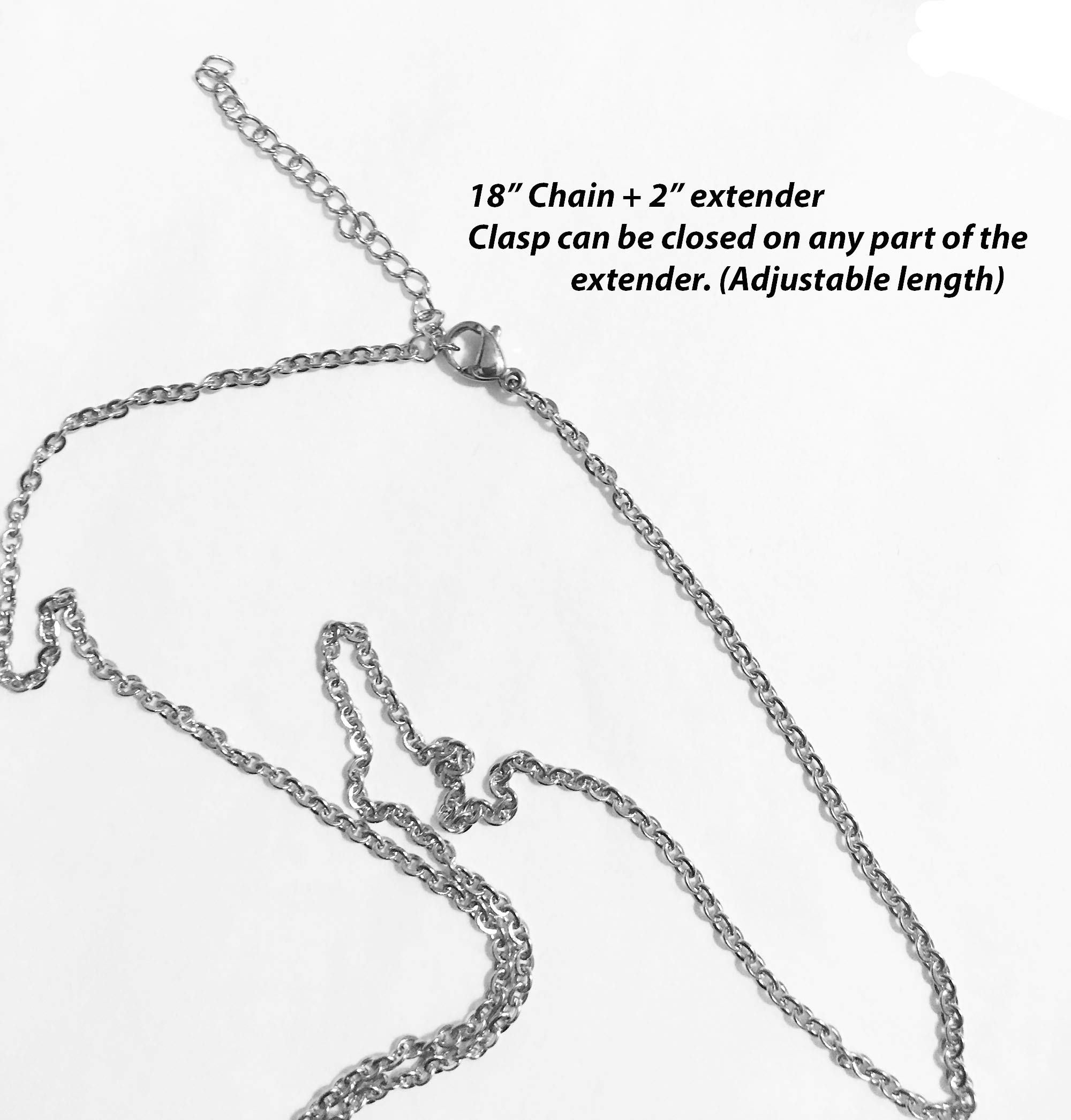 Pearlina Princess carriage Cultured Pearl Oyster Necklace Set Silver-tone Cage w/Stainless Steel Chain,18