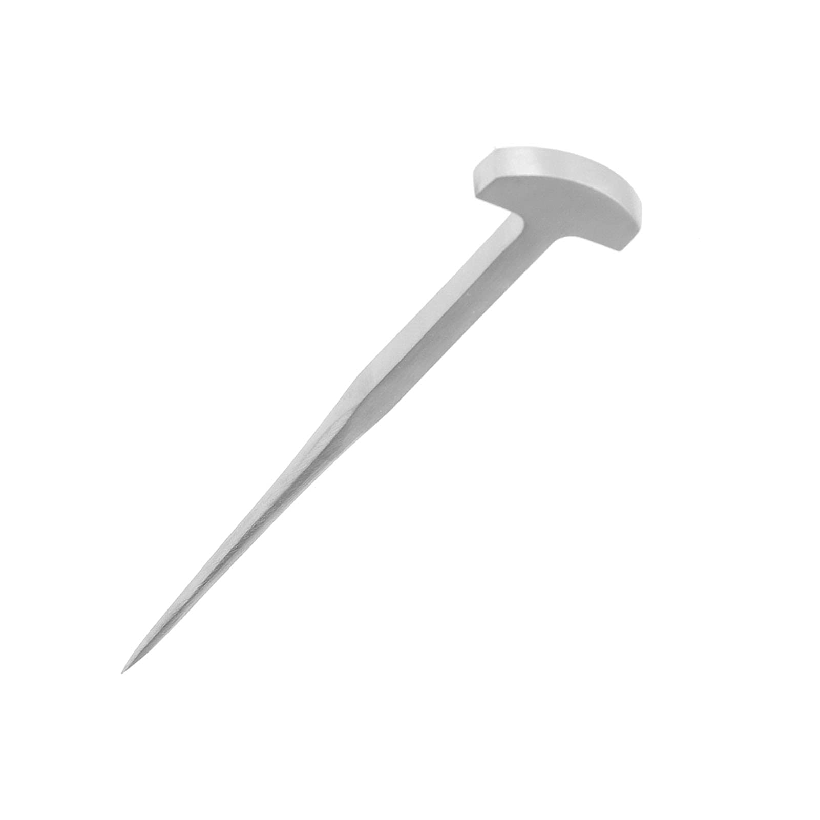 Stainless Steel T Shaped Fish Eel Nail,Kill Fish Nail,Japanese Style Eel Spike Fish EEL Nail Sushi Chef¡¯s Tools for Home Kitchen Restaurant, Kill Fish Nail, Stainless Steel T Shaped Fish Eel Eel