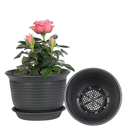 ZOUTOG ππ π·πππ π·ππππ π·πππ, 6 inches Plastic Planters with Drainage Hole and Tray, Plants Not Included