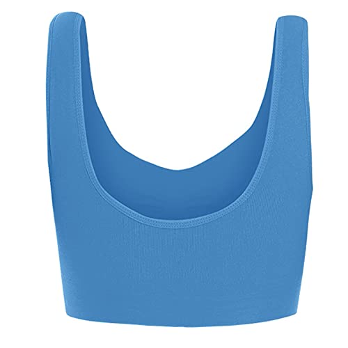 Womens Plus Size Seamless Padded Sports Bra Full-Coverage Bra Pullover Wirefree Running Yoga Tank Bra Pack of 3, Multicolor, 3X-Large