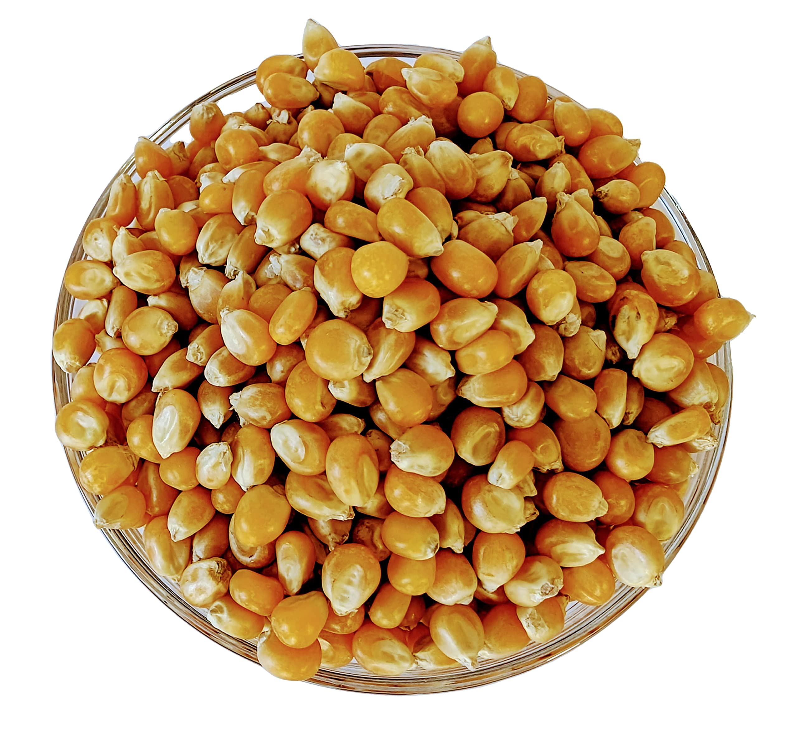 Mushroom Popcorn kernels by Medley Hills farm in Reusable Container 1.7 Lbs. - Gourmet popcorn kernels for popcorn machine - Gluten Free - Non GMO