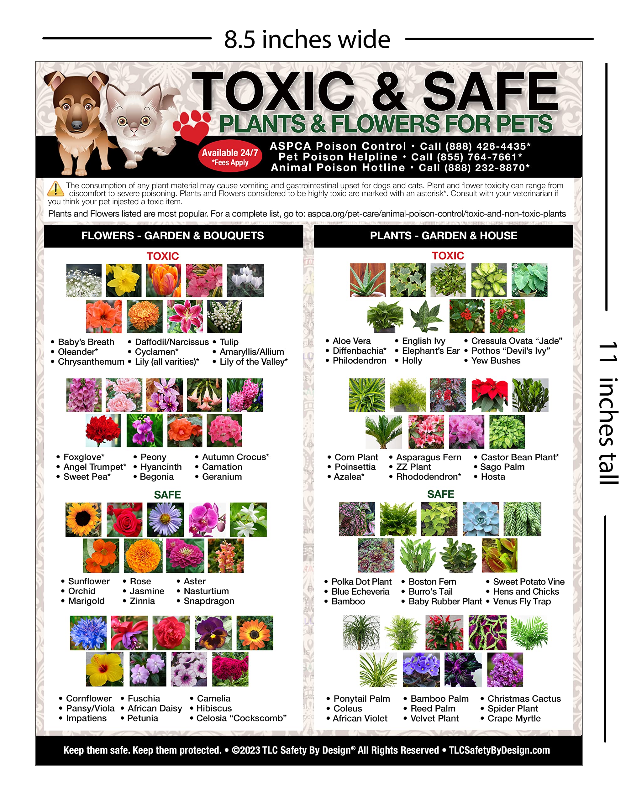 TLC Safety By Design Premium Toxic and Safe Plants & Flowers Poison for Pets Dogs Cats Emergency Large Format Veterinarian Approved Refrigerator Safety Magnet 8.5” x 11”