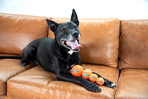 Outward Hound Squeaker Ballz Fetch Dog Toy, Small, 8- Pack