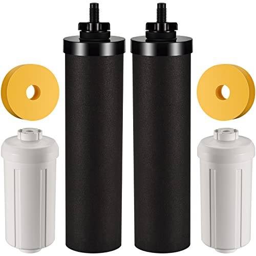 Water Filter Replacement for Berkey- Black Filters and Fluoride Filters Combo Pack Compatible with Berkey Water Filters Replacement- Pack of 4