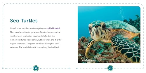 My First Book of Ocean Animals: All About Marine Wildlife for Kids