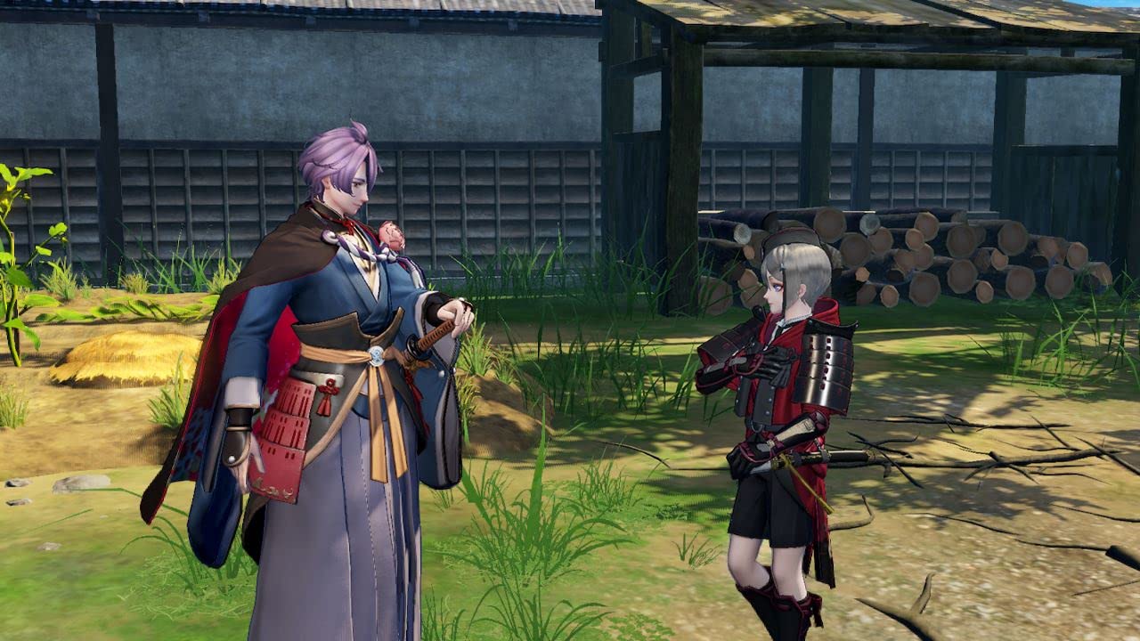 Touken Ranbu Warriors - Nintendo Switch