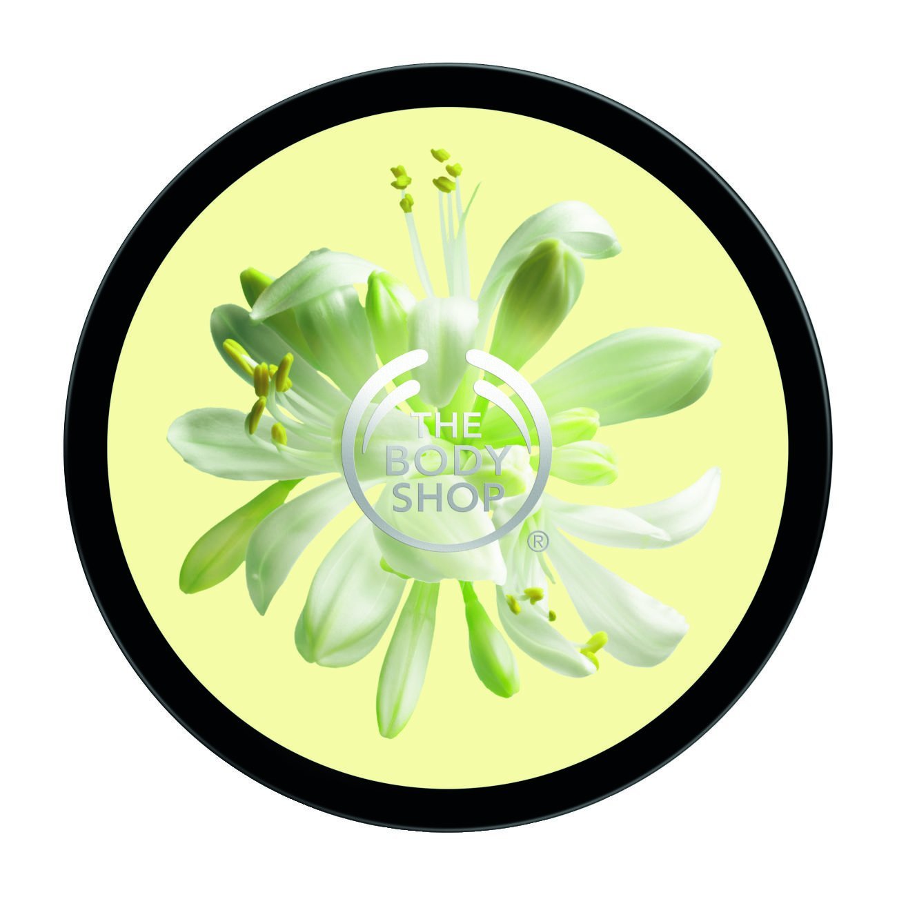 The Body Shop Moringa Body Butter Previous Formula 6.75 oz (200ml) 48H Intense Moisture Vegan